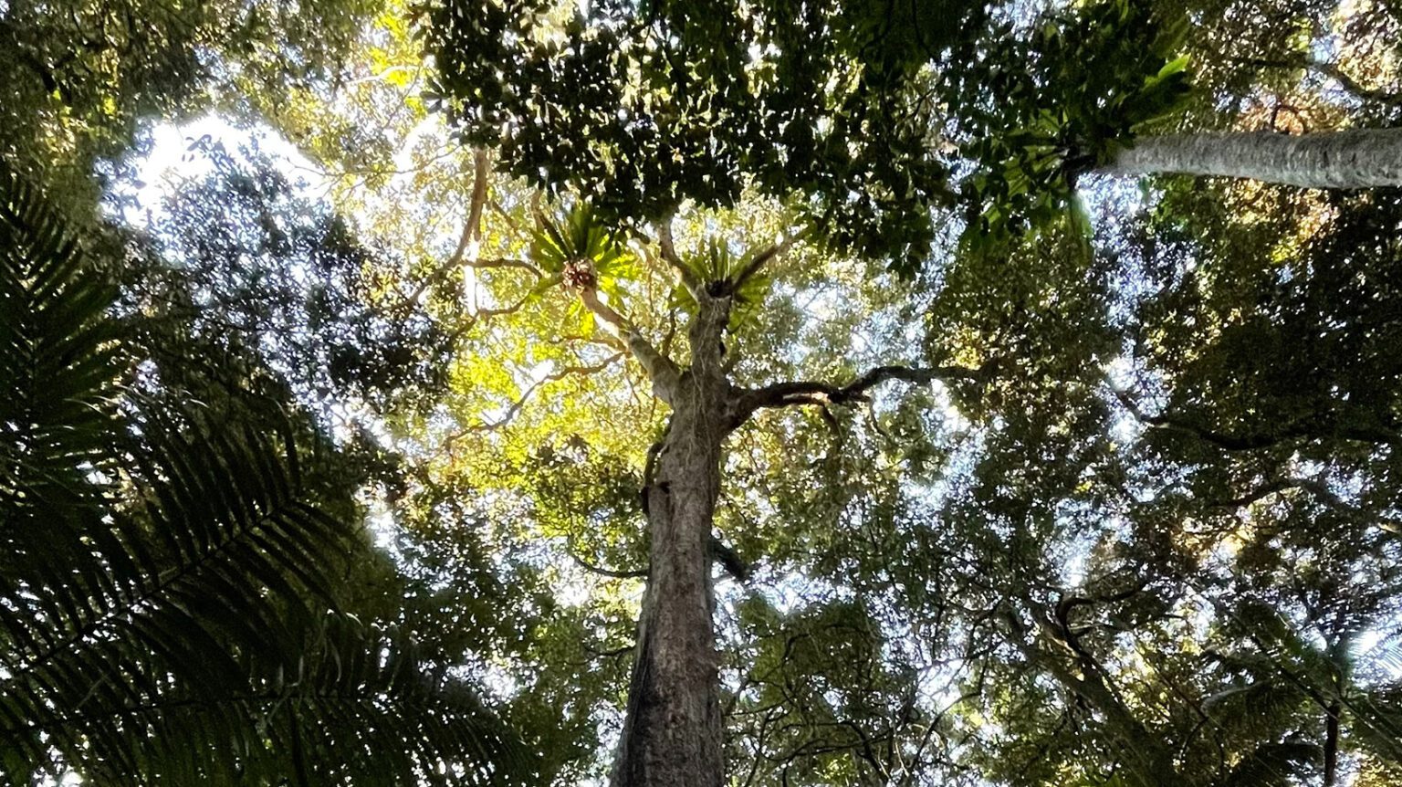 Road Trip Itinerary: Wander West : Drifters Campervans